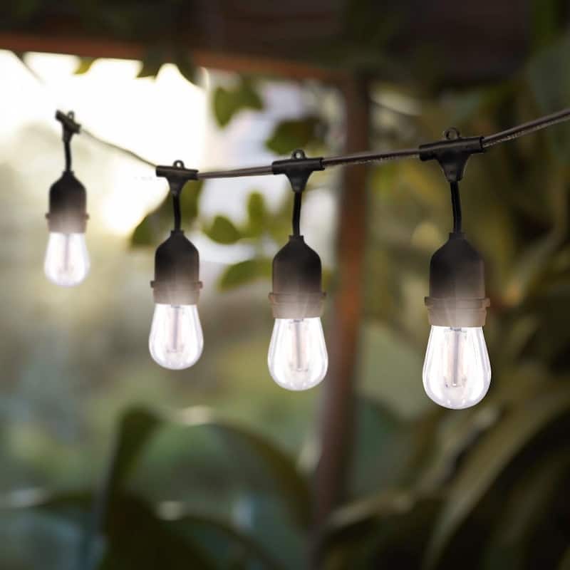 7 Glass LED Bulbs, 24 Ft Commercial Grade 2W String Lights - 3000K - On ...