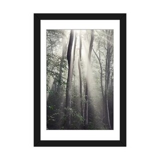 iCanvas "Woodland Sun" by Nicholas Bell Photography - Bed Bath & Beyond ...