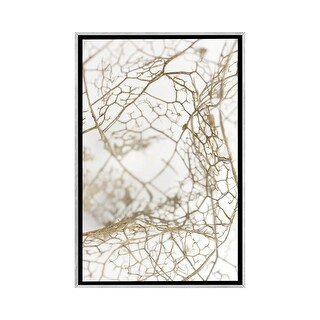 iCanvas "Leaf Skeleton" by Design Fabrikken Framed - Bed Bath & Beyond ...