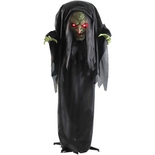 Haunted Hill Farm Petra the Gray Animatronic Talking Hunchback Witch ...