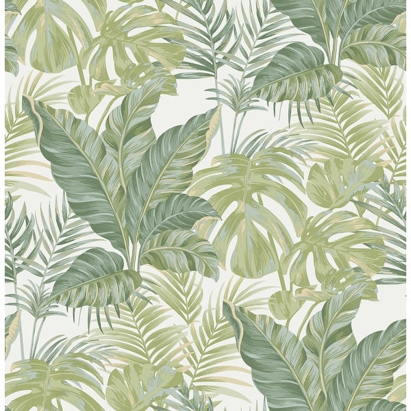 NuWallpaper Madagascar Peel & Stick Wallpaper - 216in x 20.5in x 0 ...