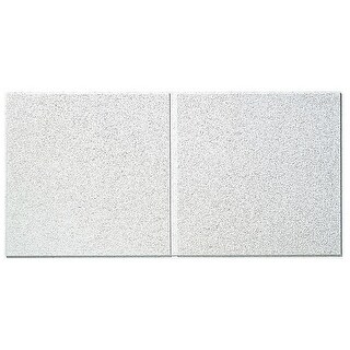 Ceiling Tile: Cirrus, 48 in Lg, 24 in Wd, Beveled Tegular Edge, 15/16 ...