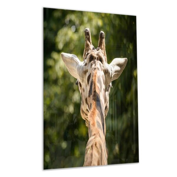 giraffe head wall