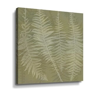 Ostrich Fern Mono Color Gallery Wrapped Canvas - Bed Bath & Beyond ...
