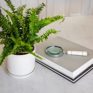 4" Decorative Magnifying Glass Contemporary Polyresin Ivory Ornate ...