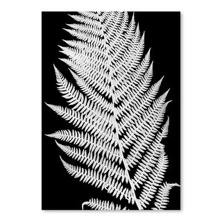 Americanflat Poster Art Print - White Fern Ii by Chaos & Wonder Design ...