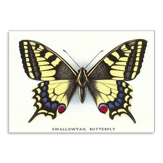 Americanflat - Swallowtail Butterfly by Found Image Press - 16"x20 ...