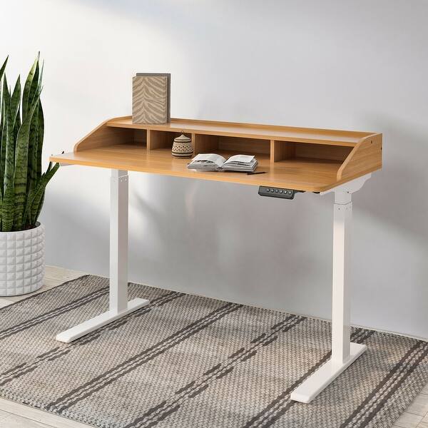 FLEXISPOT 2-Tier with 4 Drawers Electric Home Office Computer Desk Height Adjustable Standing ...