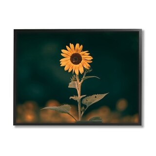 Stupell Dark Sunflower Nature Framed Giclee Art Design by Daniel Sproul ...