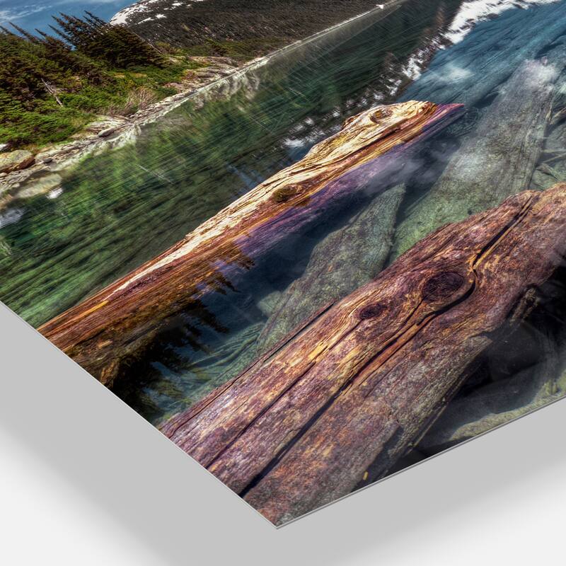 Designart 'Sunken Logs n Mountain Lake' Extra Large Landscape Art Metal ...
