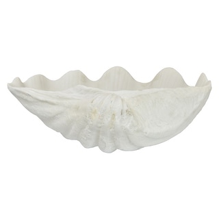 Plutus Brands Clam Shell Bowl Decor in White Resin - Bed Bath & Beyond ...