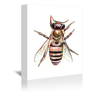 Americanflat - 8" x 10" Bee Top View by T.J. Heiser Wrapped Canvas Wall ...