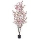 5.5' Potted Cherry Blossom Tree - Bed Bath & Beyond - 42867133