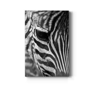 Zebra Colt Premium Gallery Wrapped Canvas - Ready to Hang - Bed Bath ...