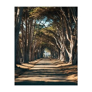 Point Reyes National Seashore Point Reyes Station Art Print/Poster ...
