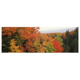 "Autumnal trees in a forest, Hiawatha National Forest, Upper Peninsula ...