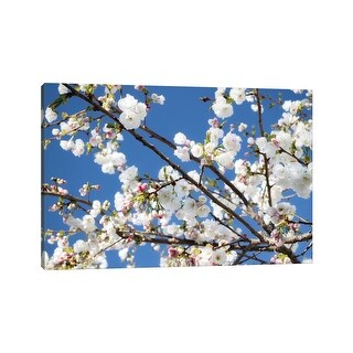 iCanvas "Cherry Blossom IX" by David Clapp Canvas Print - Bed Bath ...