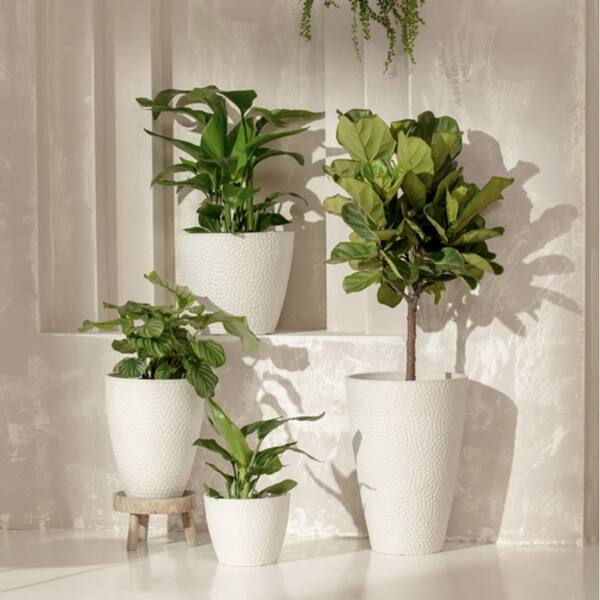 Large Outdoor Tall Planter Indoor Tree Planter, Tall Planter for Indoor ...