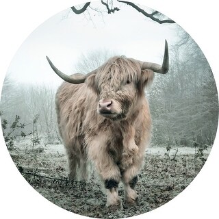 Highland Cow Circular Peel and Stick Wall Mural 28 inch Diameter - Bed ...