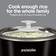 Proctor Silex 16 Cup Rice Cooker & Steamer - Bed Bath & Beyond - 36388603