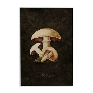 Stupell Vintage Portobello Mushroom Wall Plaque Art Design By Tina ...