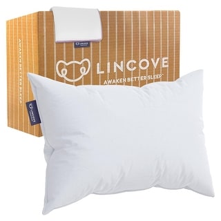 Recreation Sleeping Pillow - Filled with Imported Premium Down - 600 ...
