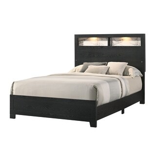 Gaylene Black LED Bookcase Panel Bed - Bed Bath & Beyond - 39512494