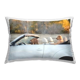 Stupell Dogs Driving Convertible Design by Karen Hoglund - Bed Bath ...