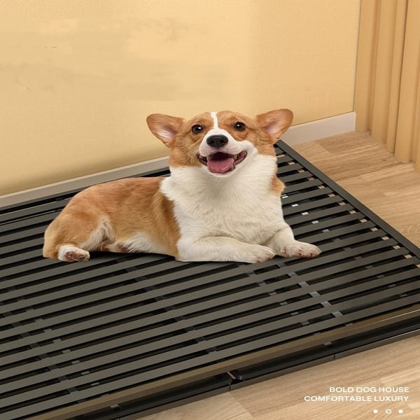 medium sized household