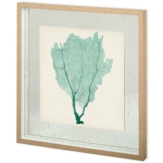 Custom Sea Fan I Framed Art Print - Bed Bath & Beyond - 39196800