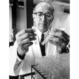Jonas Salk Courtesy Csu Archives Everett Collection History - Bed Bath ...