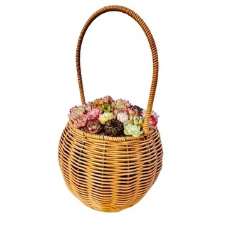 2''–3'' Multicolor Succulent Plants in Yellow Spherical Flower Basket ...