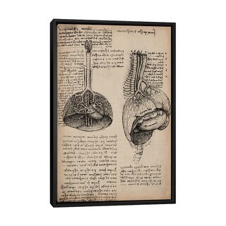 iCanvas "Sketchbook Studies of Human Organs" by Leonardo da Vinci ...