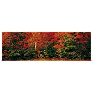 "Fall Maple Trees" Poster Print - Bed Bath & Beyond - 16858943