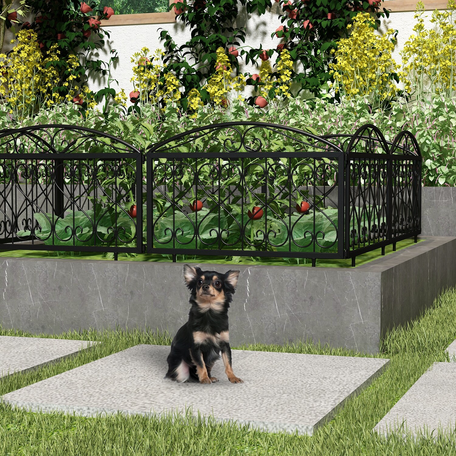 keep dog off borders