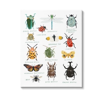 Stupell Educational Bug Types Canvas Wall Art Design By Hanna Melin ...