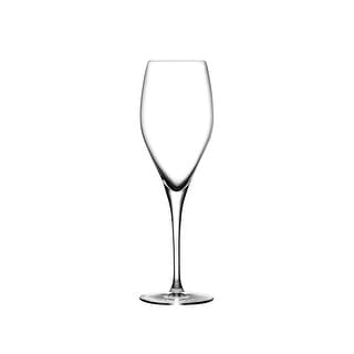 Vintage Champagne Set of 2 - Bed Bath & Beyond - 41327815