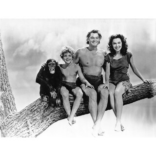 Johnny Weissmuller sitting on a Tree Branch with His Family in a ...