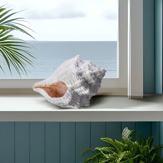 Resin 'Fabric Weave' Conch Shell 8.25" - 7.87 - Bed Bath & Beyond ...