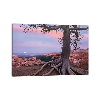 iCanvas "Conifer And Moon, Bryce Canyon National Park, Utah" by Tim ...