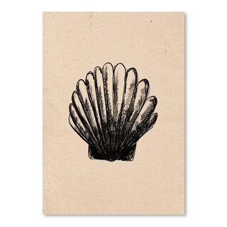 Americanflat - Illustrated Sea Shell 3 by Jetty Home - 16"x20" Poster ...