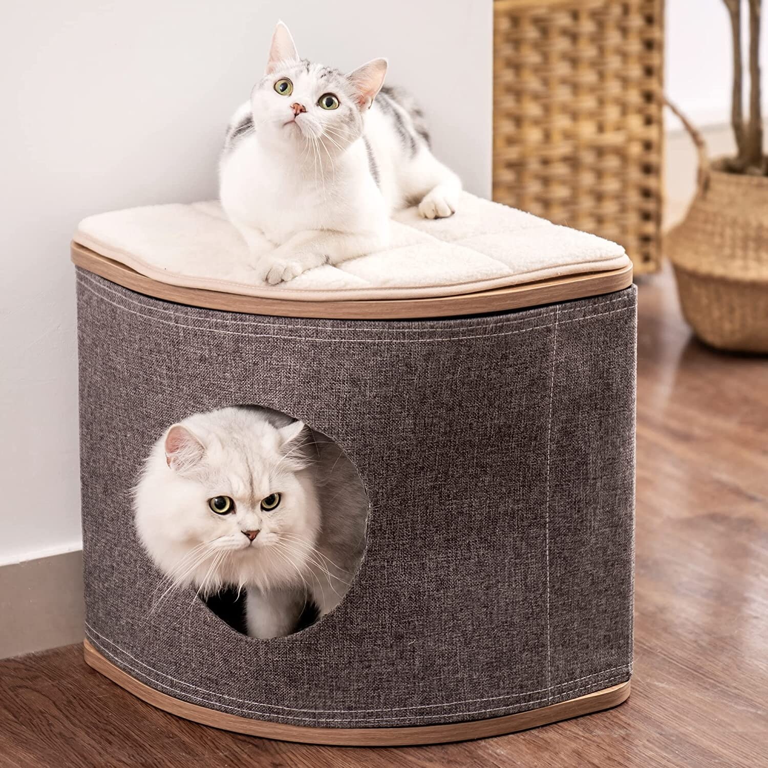 cat corner bed