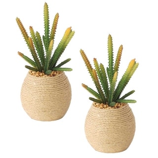 Set of 2 Real Touch Succulents in Hemp Containers 7x7x10"H - 10" - Bed ...