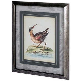 Antique Bird Menagerie IV Framed Art Print - Bed Bath & Beyond - 39192105