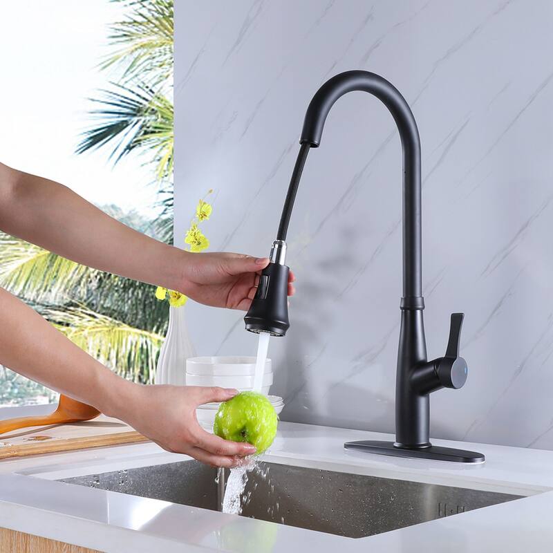 Pull Down Single Handle Kitchen Faucet - Overstock - 32640807