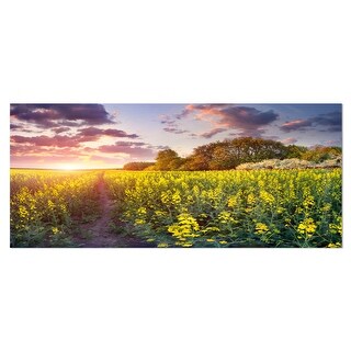 Designart 'Fantastic Yellow Field at Sunset' Large Landscape Art Metal ...