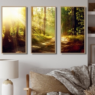 Designart "Rays Of Sun Shining Through Fog In Old Forest" Cabin and ...