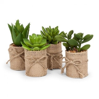 Set Of 4 Succulents In Burlap Wrap. Faux Plants And Trees - Bed Bath ...