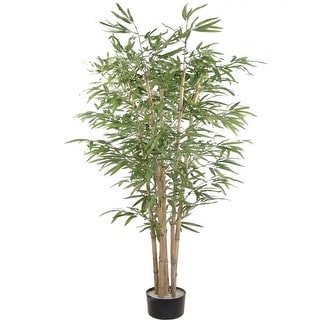6ft Bamboo Tree in Black Pot by Floral Home - Green - Bed Bath & Beyond ...