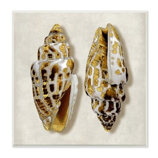 Stupell Speckled Conch Seashell Neutral Tone Sea Life Wood Wall Art, 12 ...